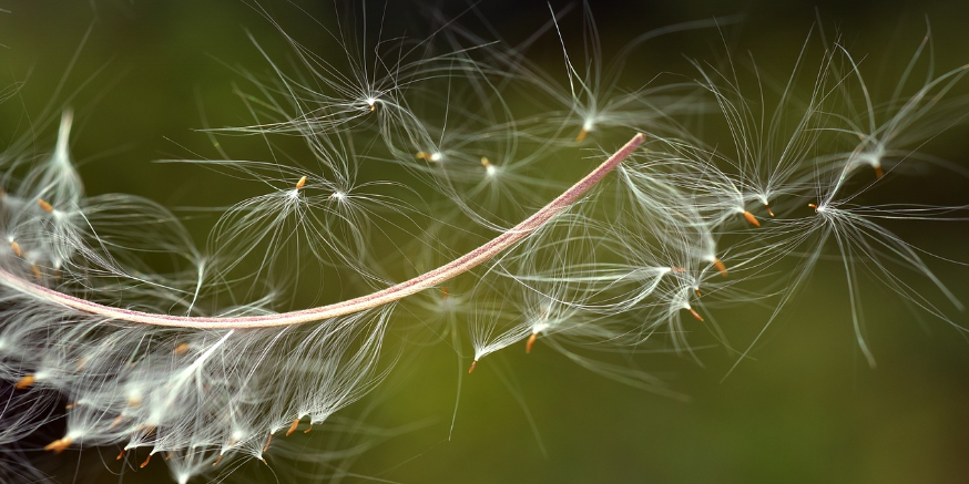Why is it hard to have intellectual conversation? - DMY Philosophy